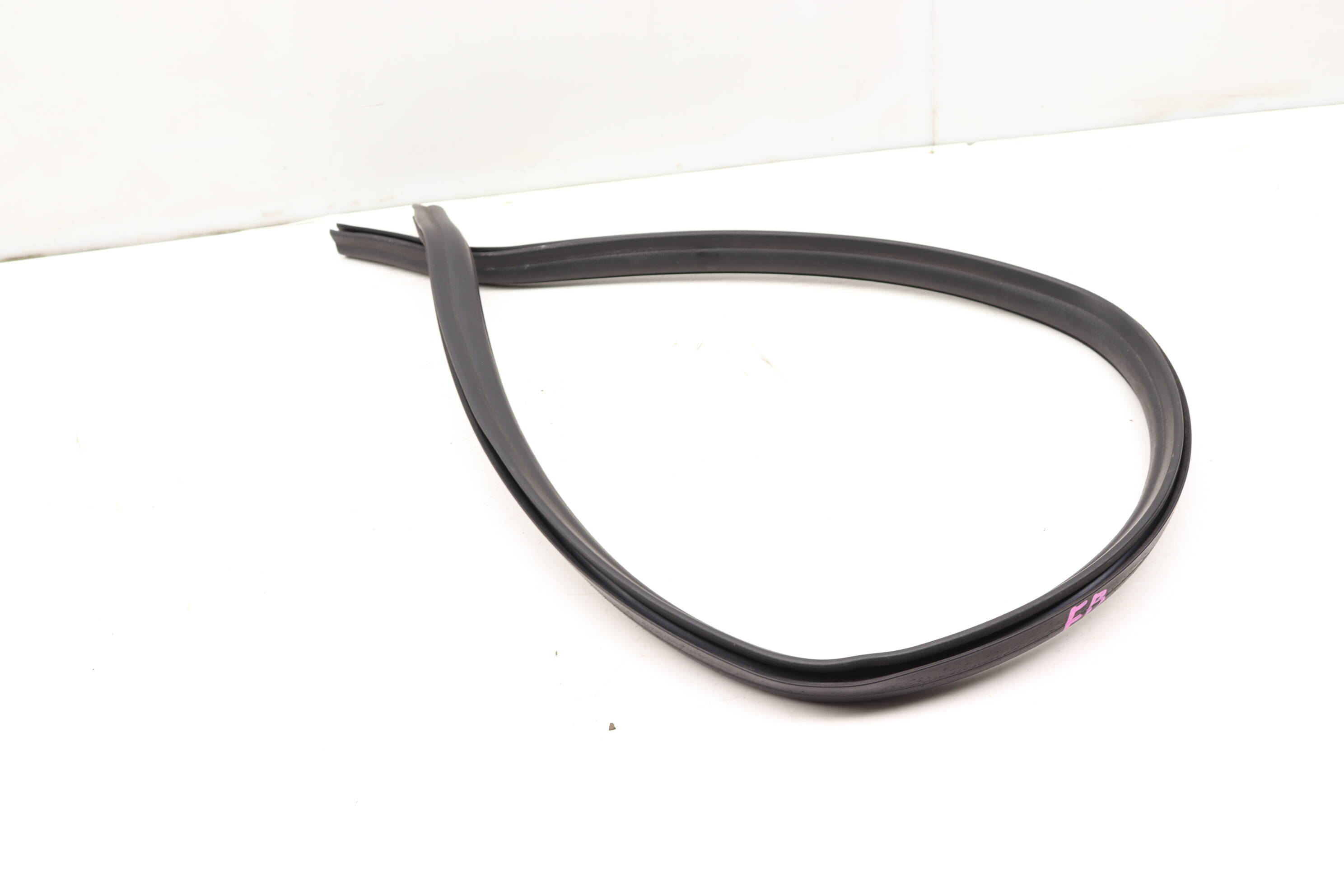 BMW Cowl Seal / Firewall Weather Stripping (X5, X6) 51237161345