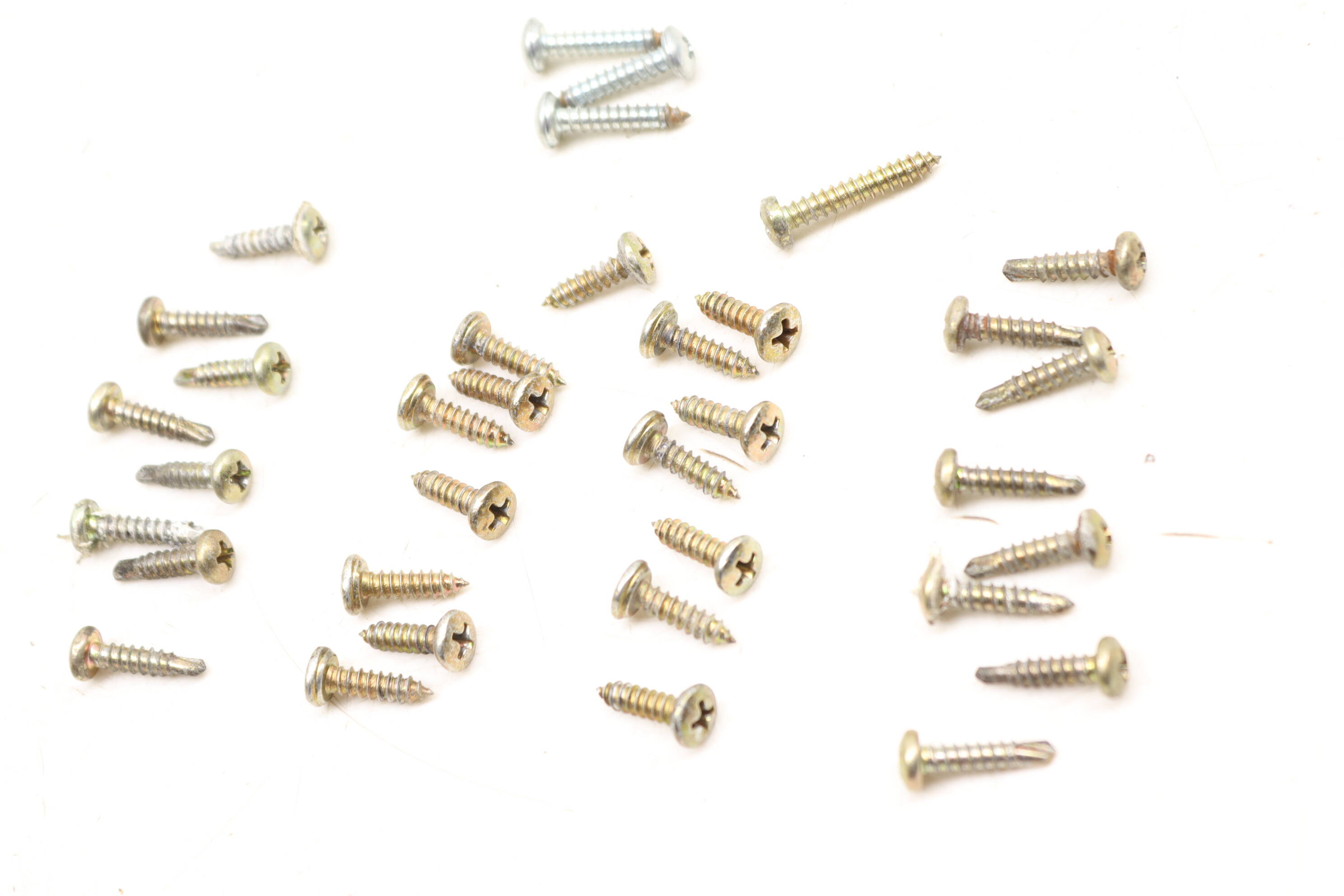 VW Roof Screw / Fastener Set (EuroVan)