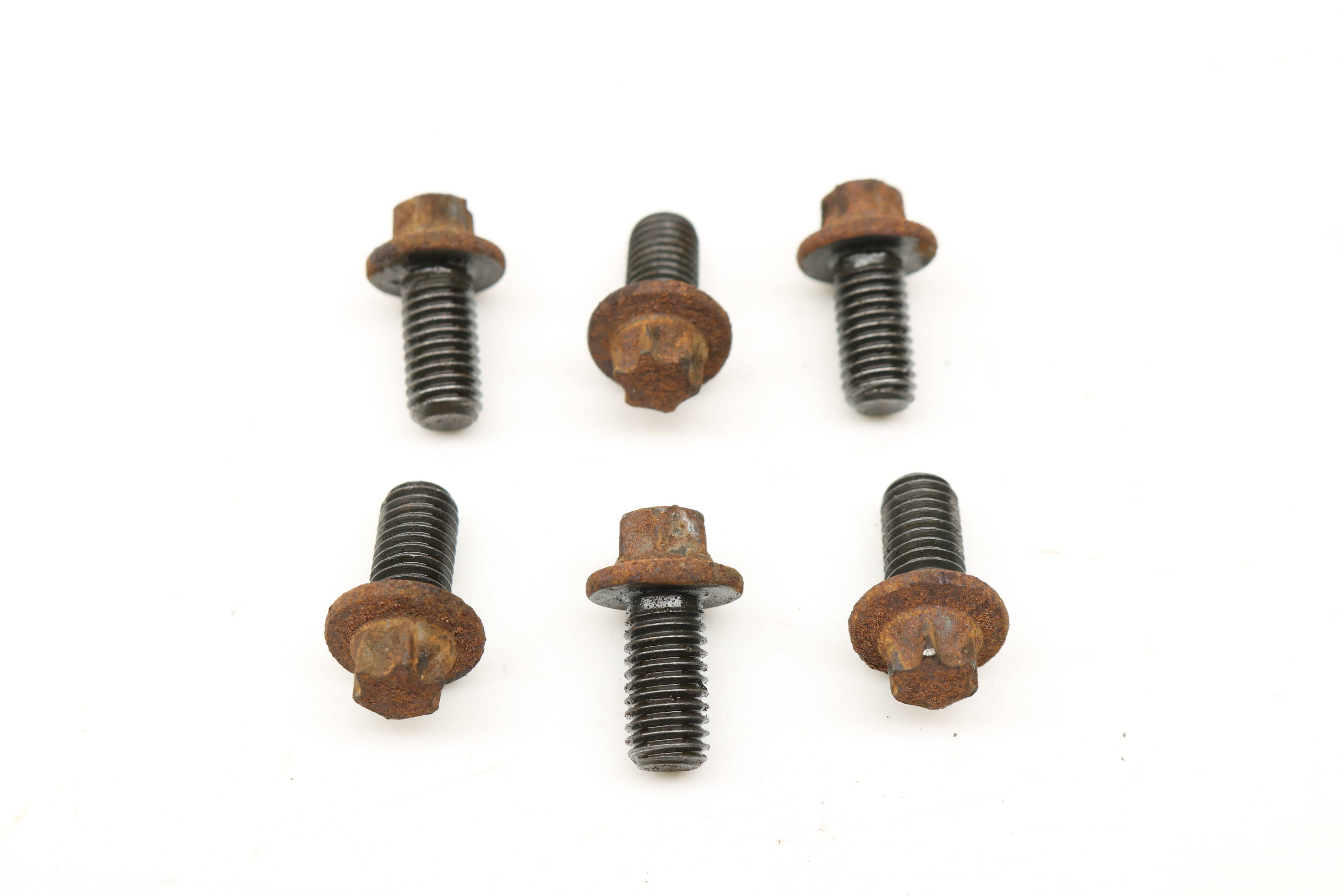 BMW M8x16 Asa Screw / Bolt Set (6) 11237564511