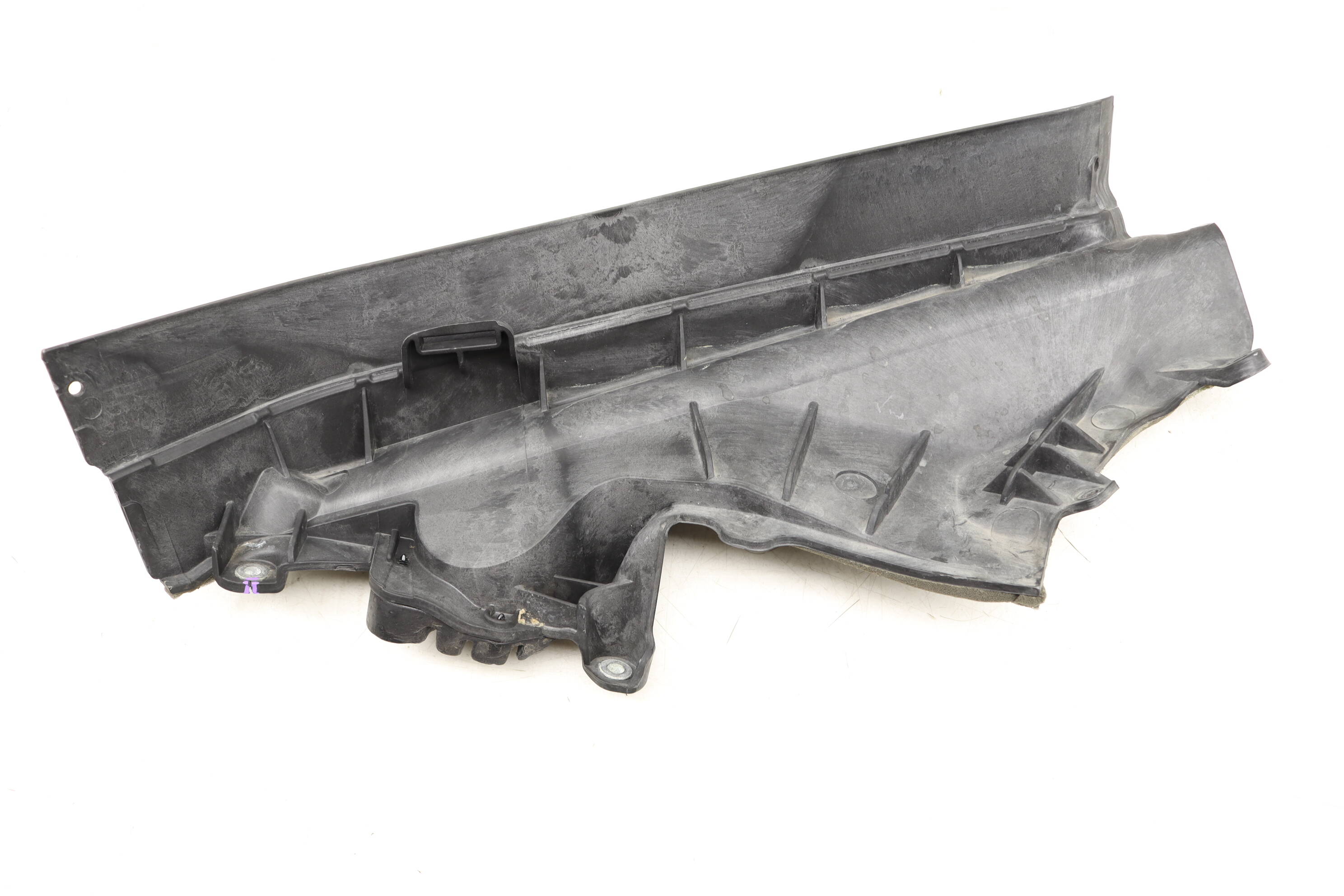 BMW Left Engine Compartment Cover (X5, X6) 51717169419