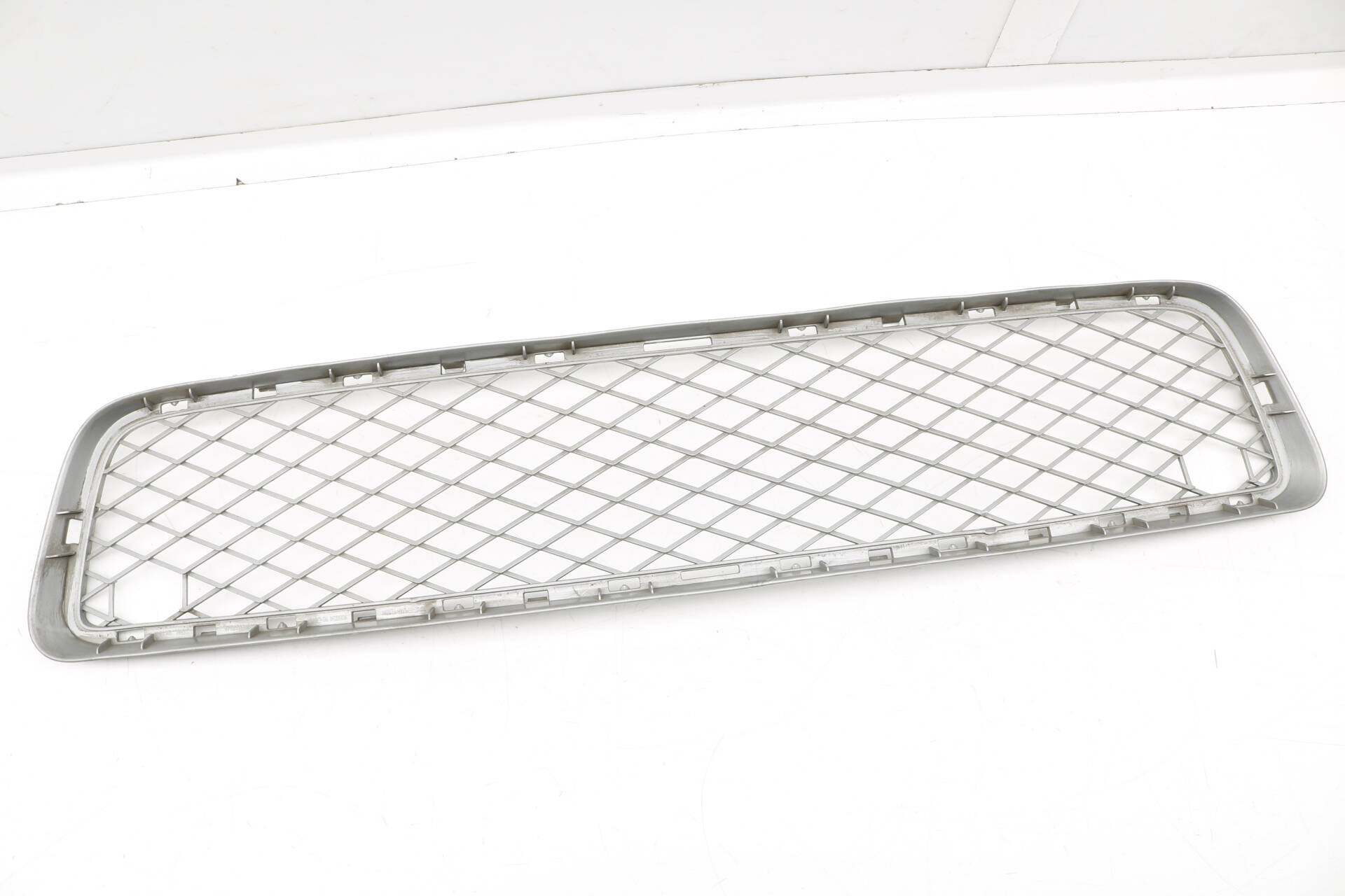 BMW Front Bumper Center Grille (X5) 51117163956