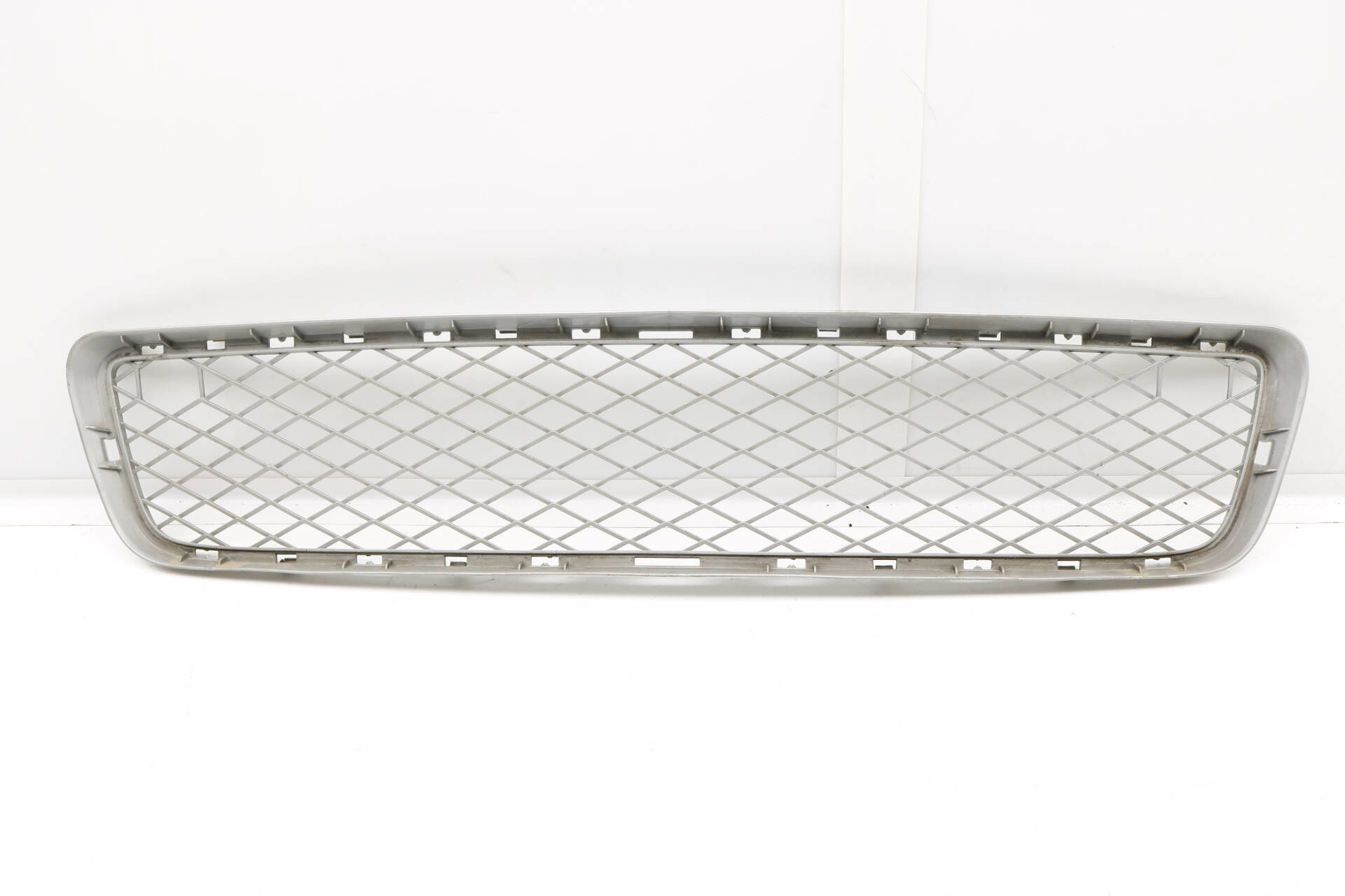 BMW Front Bumper Center Grille (X5) 51117163956