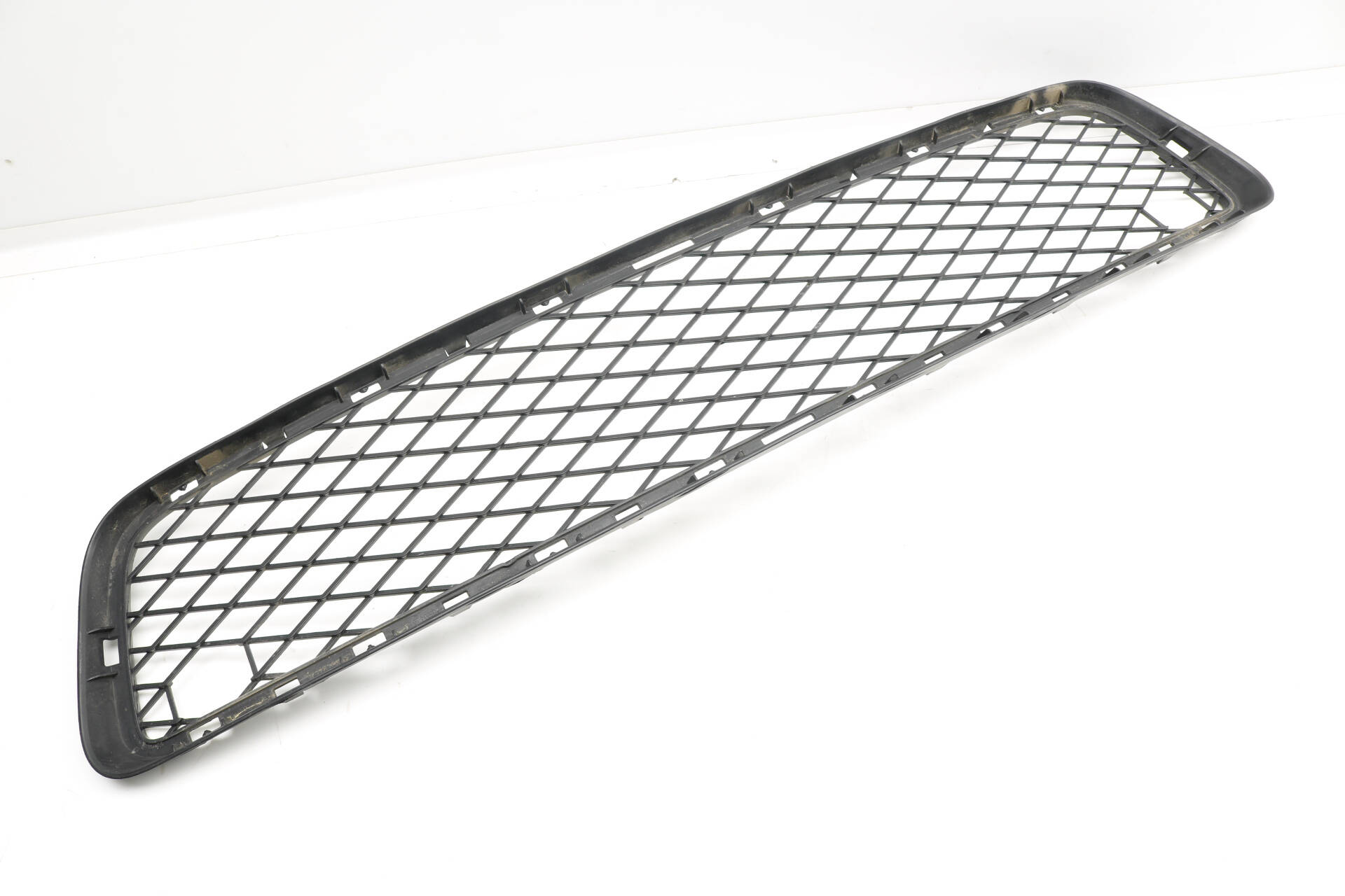 BMW Front Bumper Center Grille (X5) 51117163956